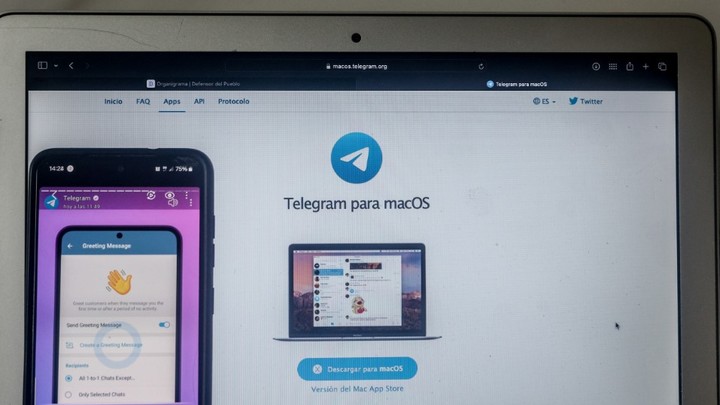 Telegram испугался террора. Дуров сообщил о блокировке аккаунтов с ...